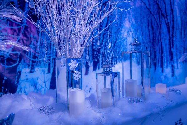 Winter Wonderland Party Theme | Feel Good Events | Melbourne