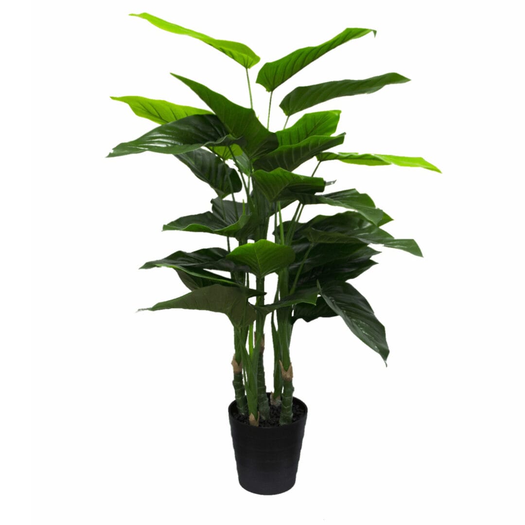 Artificial Philodendron Plant Feel Good Events Melbourne artificial-philodendron-plant-feel-good-events-melbourne